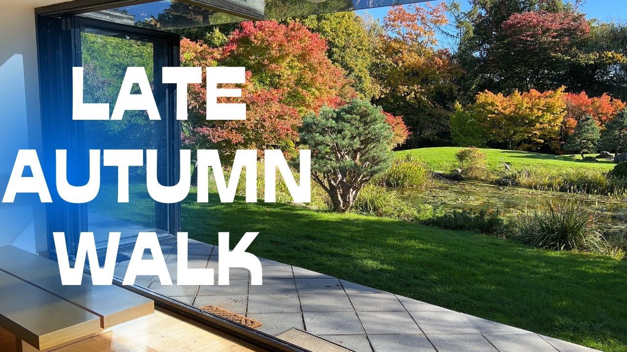 Late Autumn Walk - YouTube
