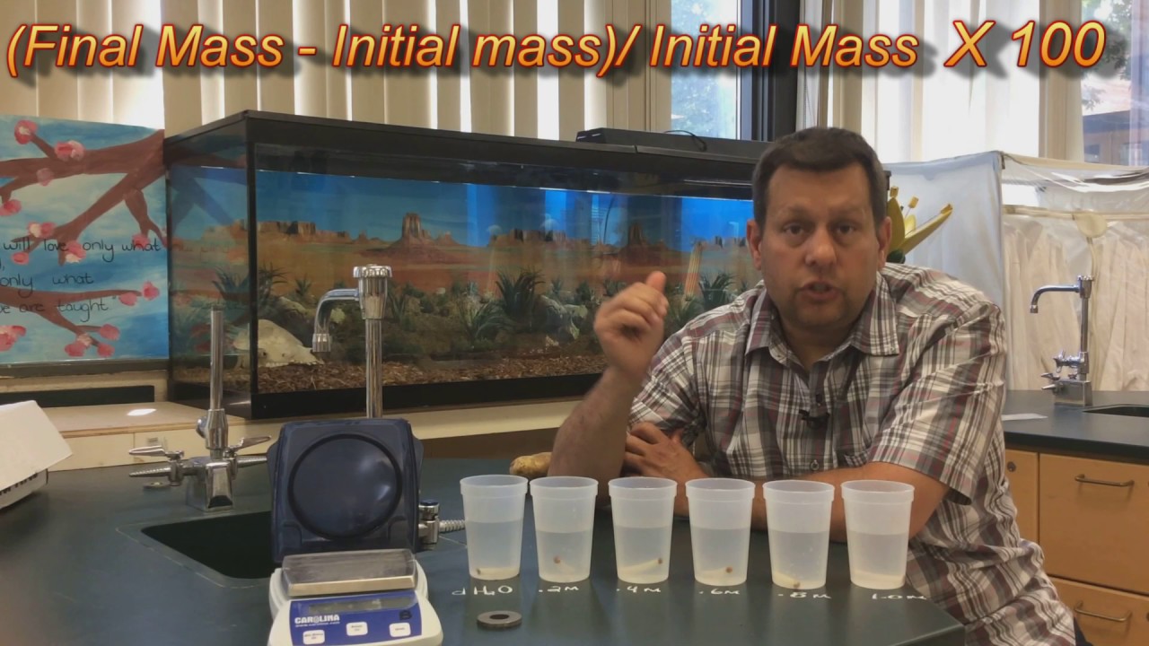 Determining the Molarity of a Potato Core - YouTube