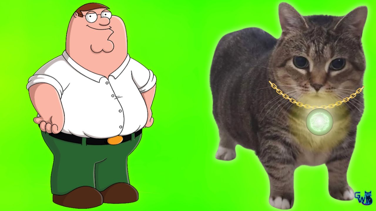 OIIAOIIA CAT, PETER GRIFFIN - Spinning Cat (TECHNO REMIX) Cat Brainrot ...