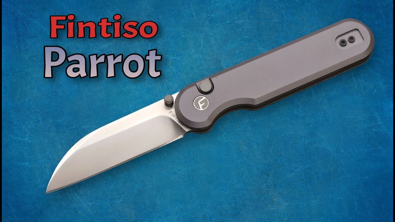 NEW Knife! Fintiso Parrot Sheepsfoot Budget Button Lock! - YouTube