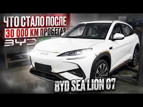 НЕ ПОКУПАЙ б/у BYD Sea Lion 07 после 30 000 пока не посмотришь это! Честный отзыв владельца на СТО