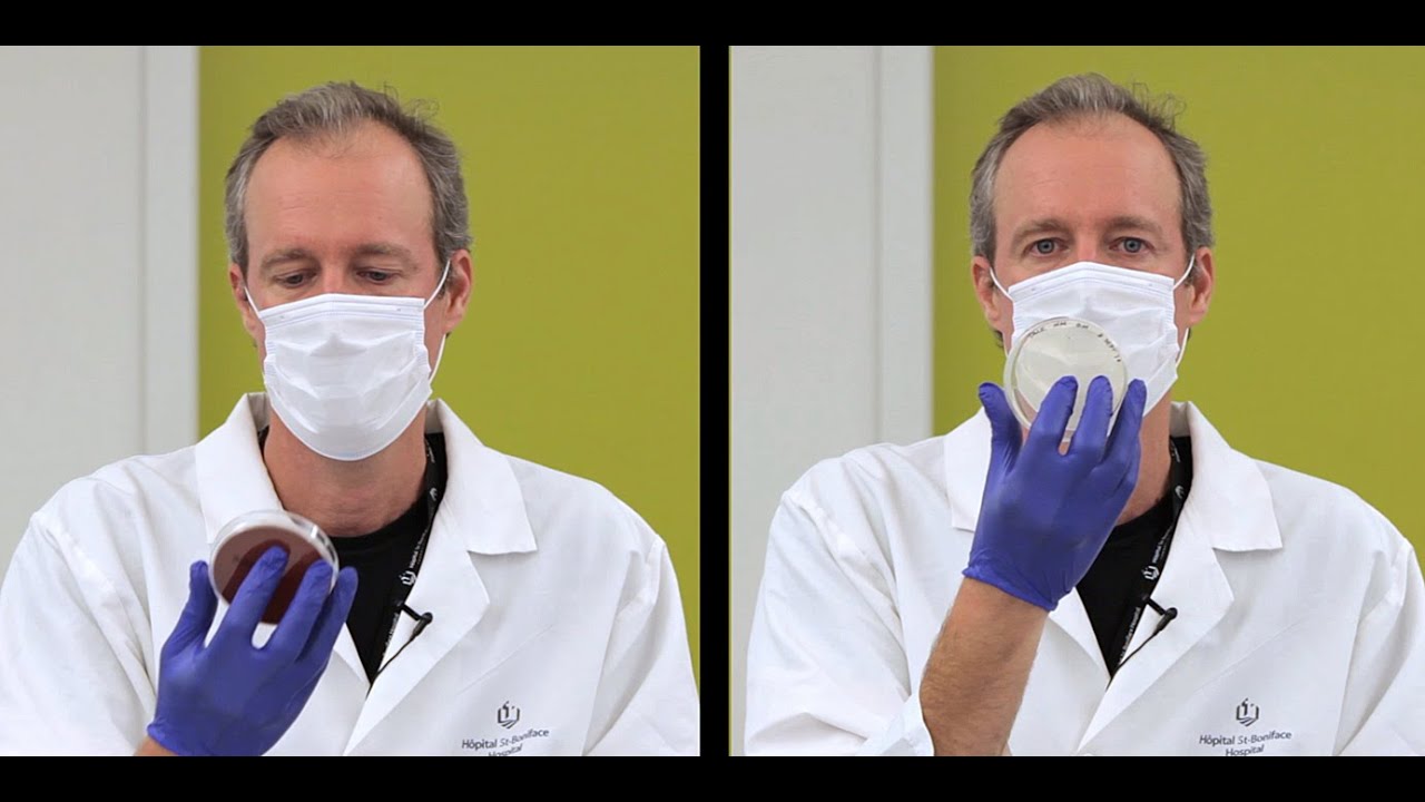 Healthy Curiosity - We're curious about masks! - YouTube