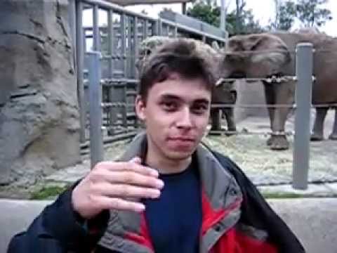 Youtube'a Yüklenen İlk Video.