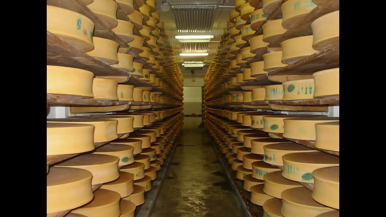 Government Cheese - YouTube