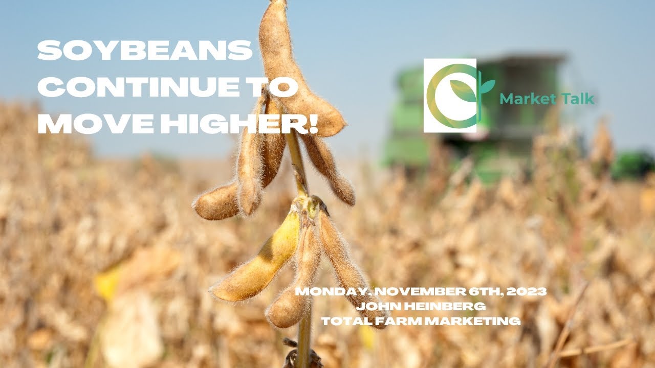 Soybeans Continue to Rally on Monday (Monday, November 6th, 2023) - YouTube