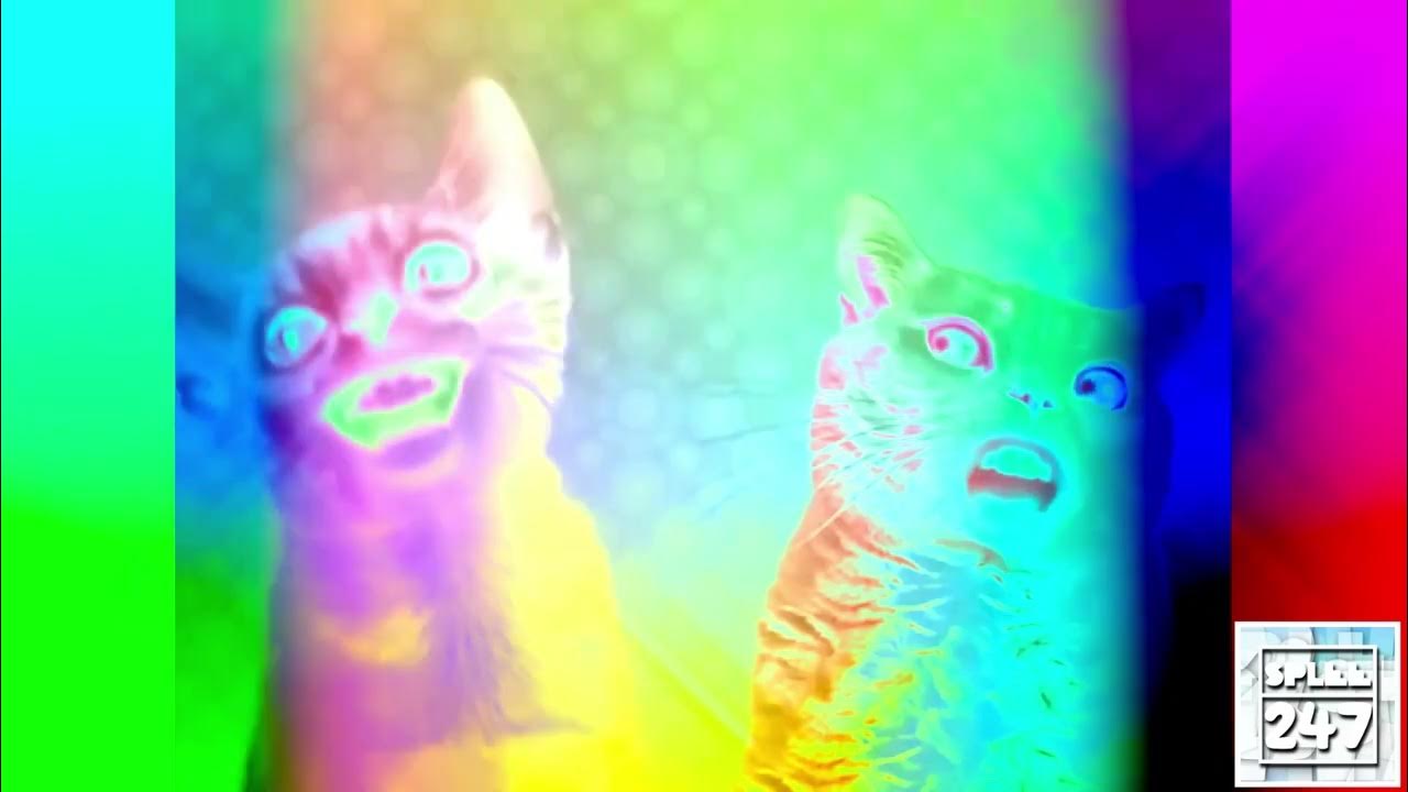 Preview 2 Numa Cat Effects (Sponsored By Preview 2 Effects) in 4ormulator V8 - YouTube