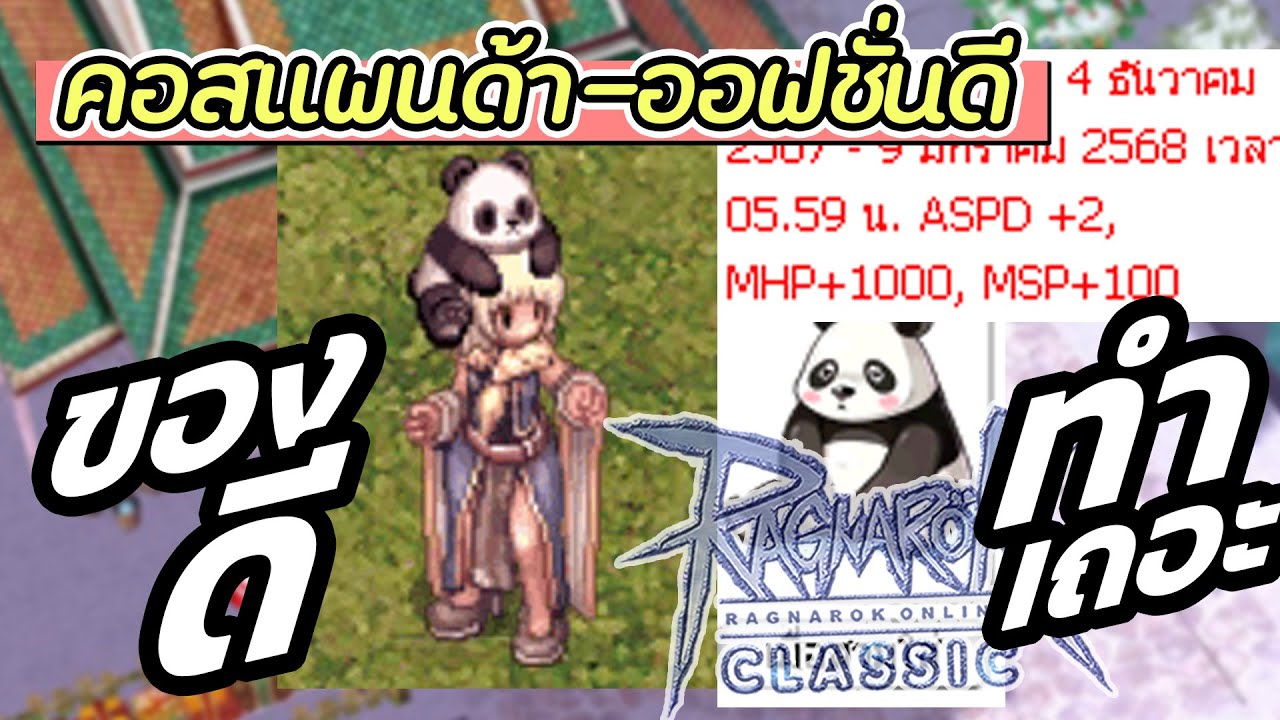 คอสแพนด้า ของดี ออฟชั่นแรง แนะนำให้ทำนะ Ragnarok Classic ROC - YouTube