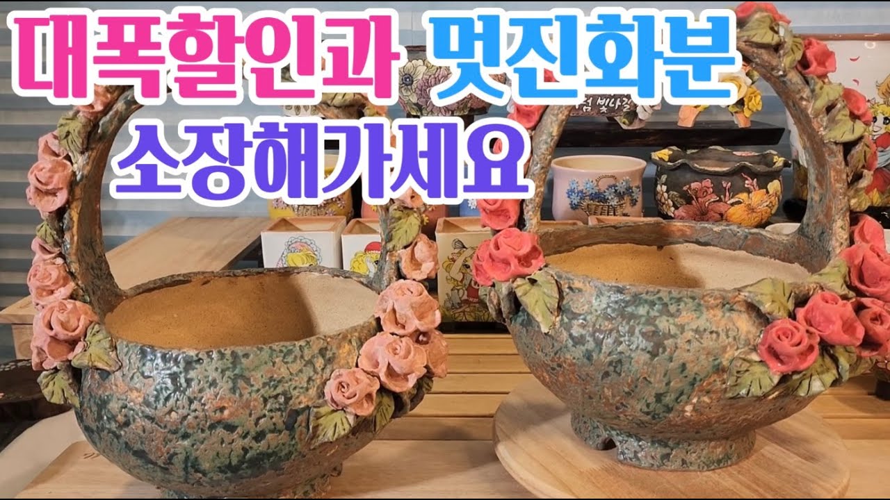 1월19일 대폭할인과 멋진화분 소장하세요 꽃담다육스토리예쁜화분화분싸게파는곳다육식물多肉植物succulents다육이꽃담화분다육화분꽃담다육스토리화분 Youtube