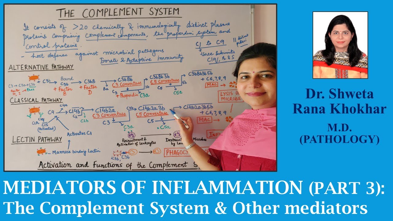 Mediators of Inflammation Part 3: The Complement System and other ...