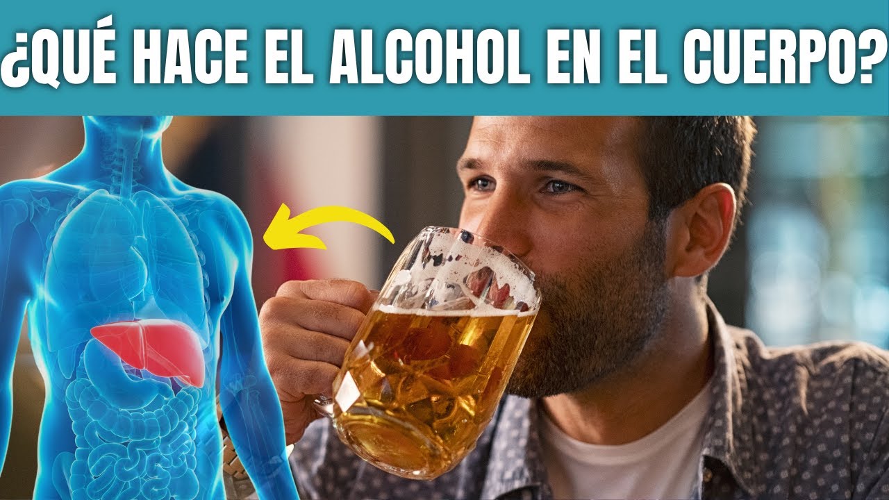 ¿Qué Hace el ALCOHOL en el Cuerpo? Conoce El Impacto del Alcohol en tu ...