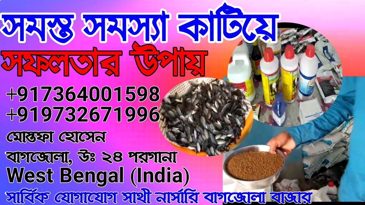 সমস্ত সমস্যা কাটিয়ে সফলতার উপায়┇ᴴᴰ┇BIOFLOC FISH MM - YouTube