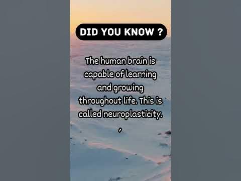 Did You Know Series?:Eternal Neuroplasticity: The Ever-Adapting Brain #shorts #human #brain ...