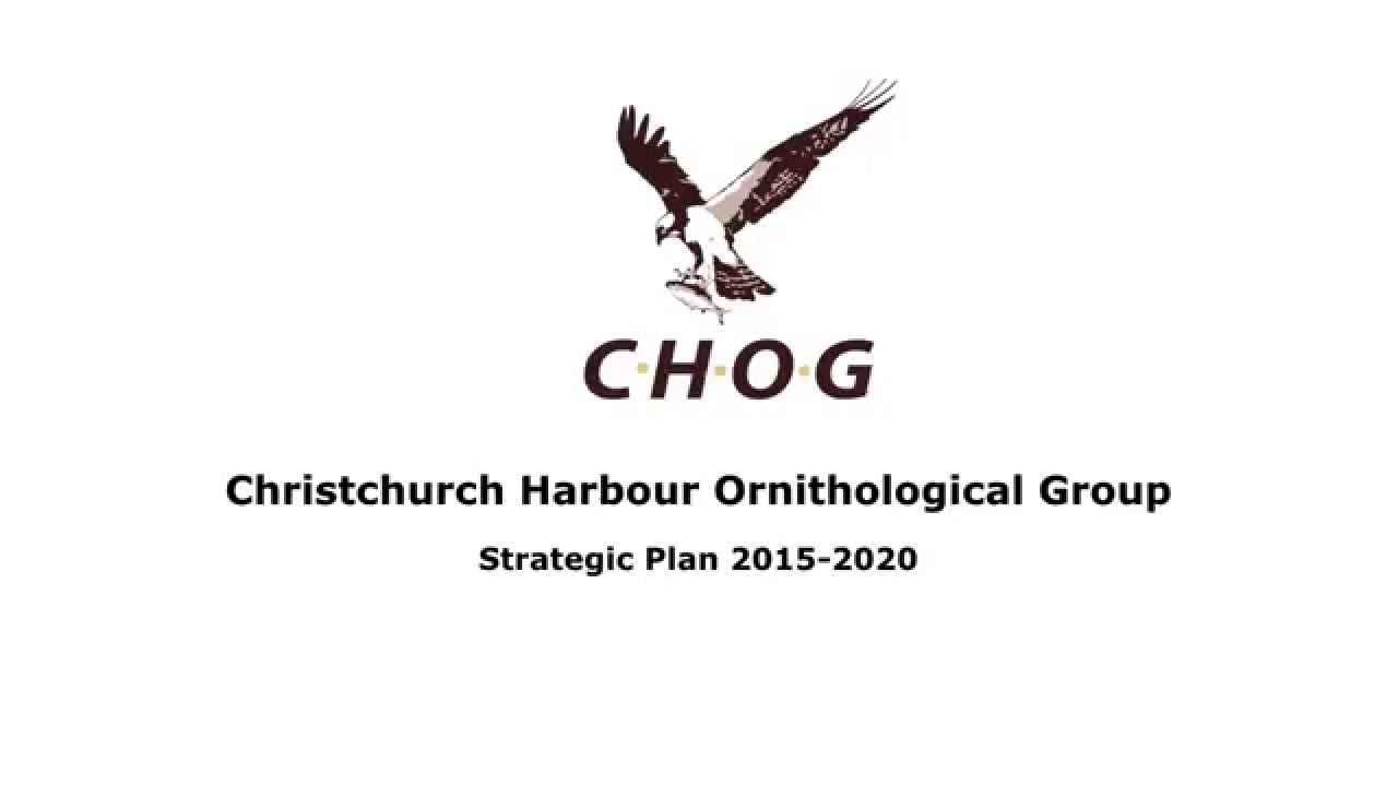 CHOG Strategic Plan 2015-2020 - YouTube