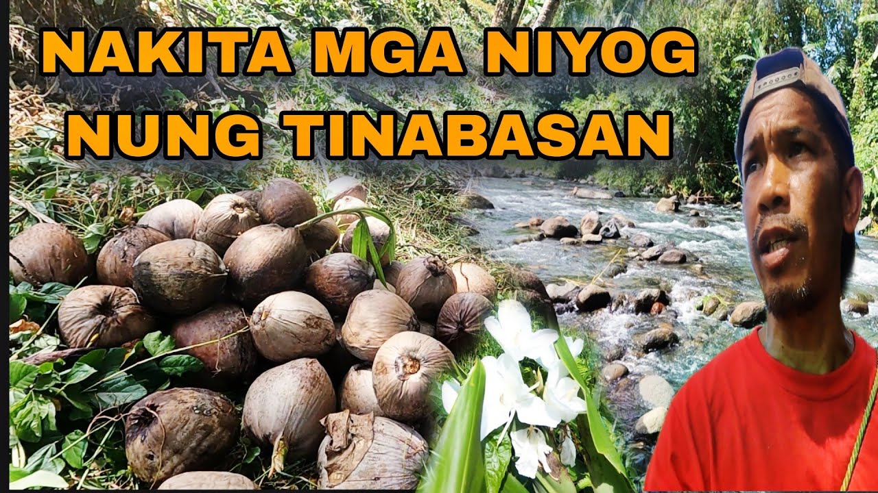 NAGPATABAS AREA NUMBER 4 | BUHAY BUKID - YouTube