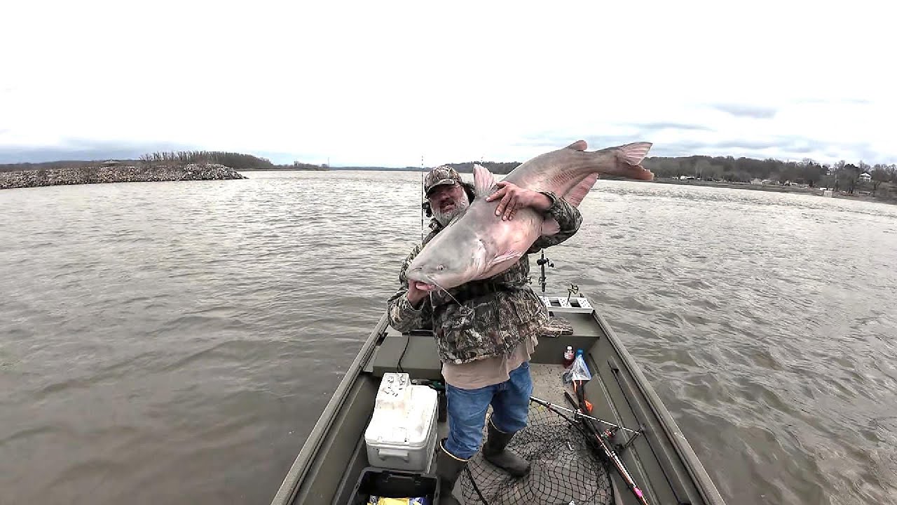 A Great Year for Catfishing. Tight lines this season everyone - YouTube