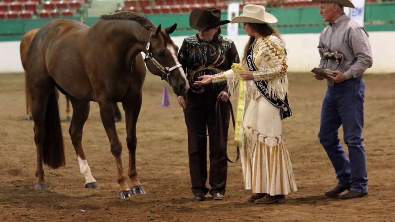 2017 Nutrena East AQHA Level 1 Championships May 4 5 YouTube 2017-nutrena-east-aqha-level-1-championships-may-4-5-youtube