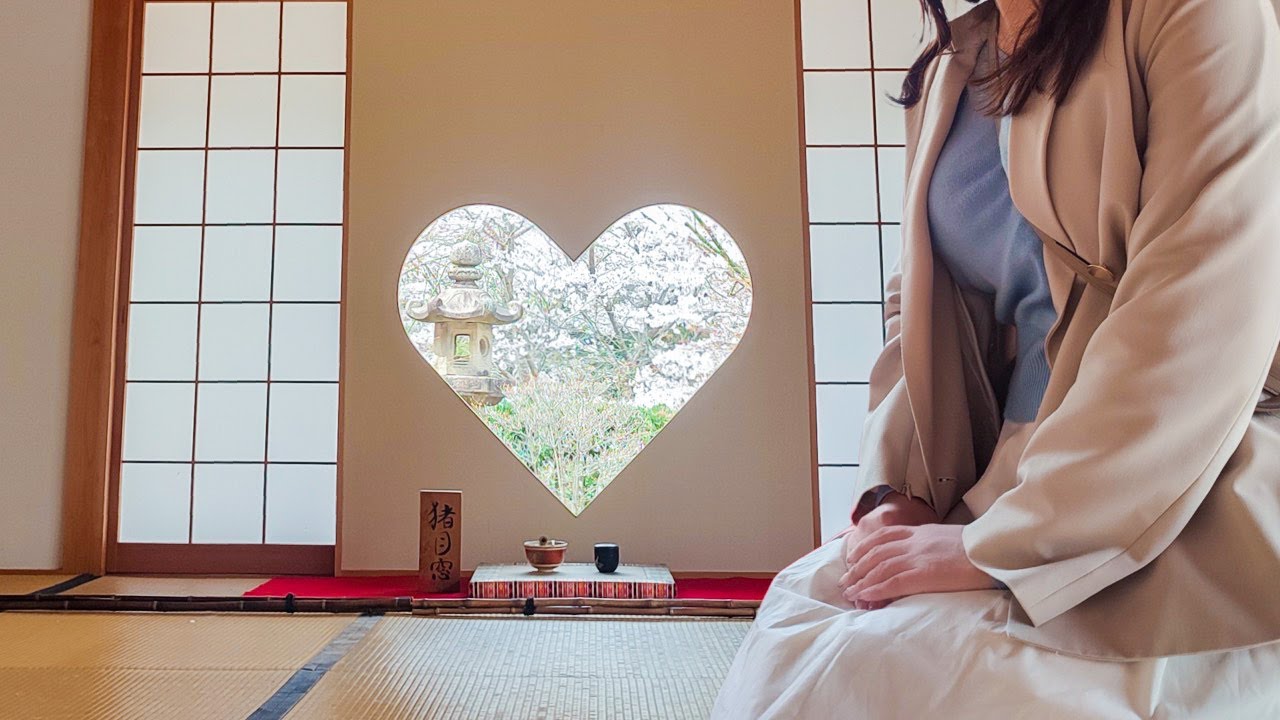 Japanese Beauty:3 Traveling alone in Kyoto when the cherry blossoms ...