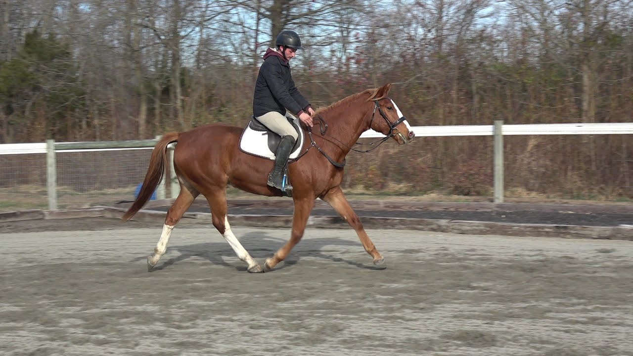 Henny first ride here 12 9 25 - YouTube