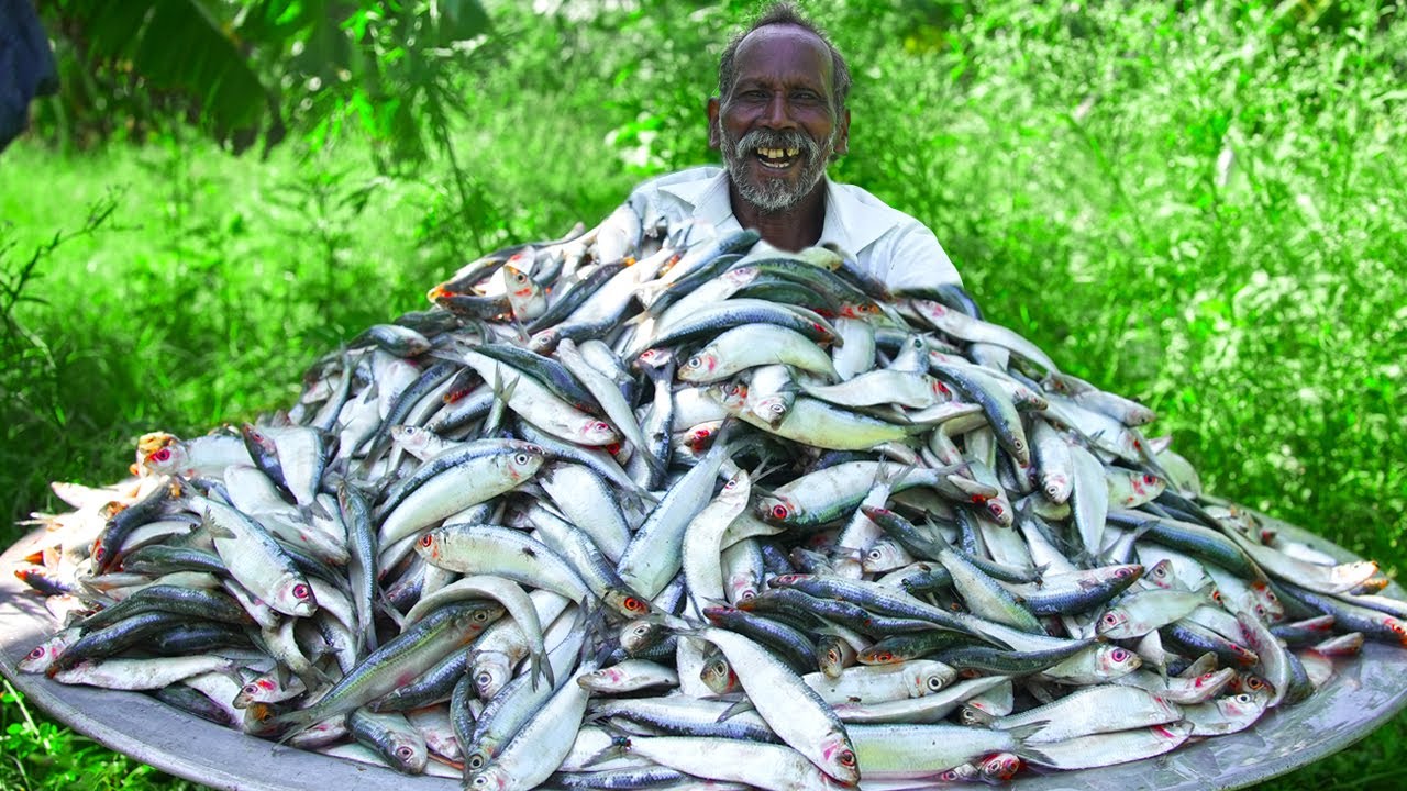 1000 FRESH SALAI FISH FRY | சாலை மீன் வறுவல் | Very Tasty Sea Food ...