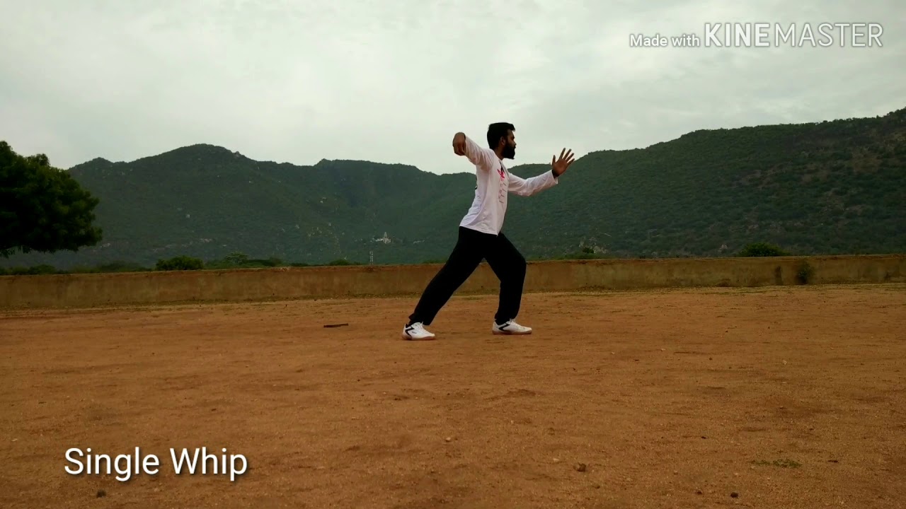 Tai Chi 8 Form Yangstyle | Tai Chi India - YouTube