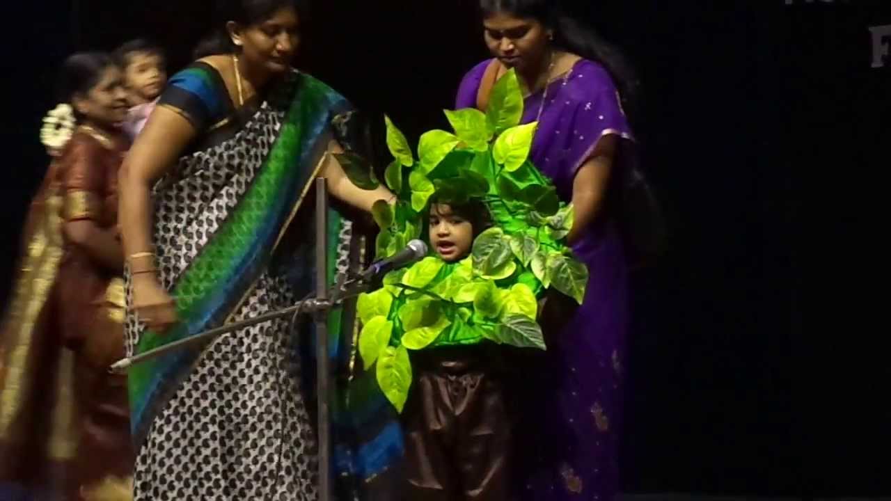 Tree Fancy Dress competition - YouTube