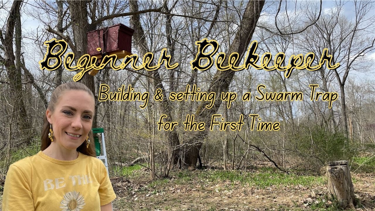 Beginner Beekeeper: Building & setting up a Swarm Trap for the First ...