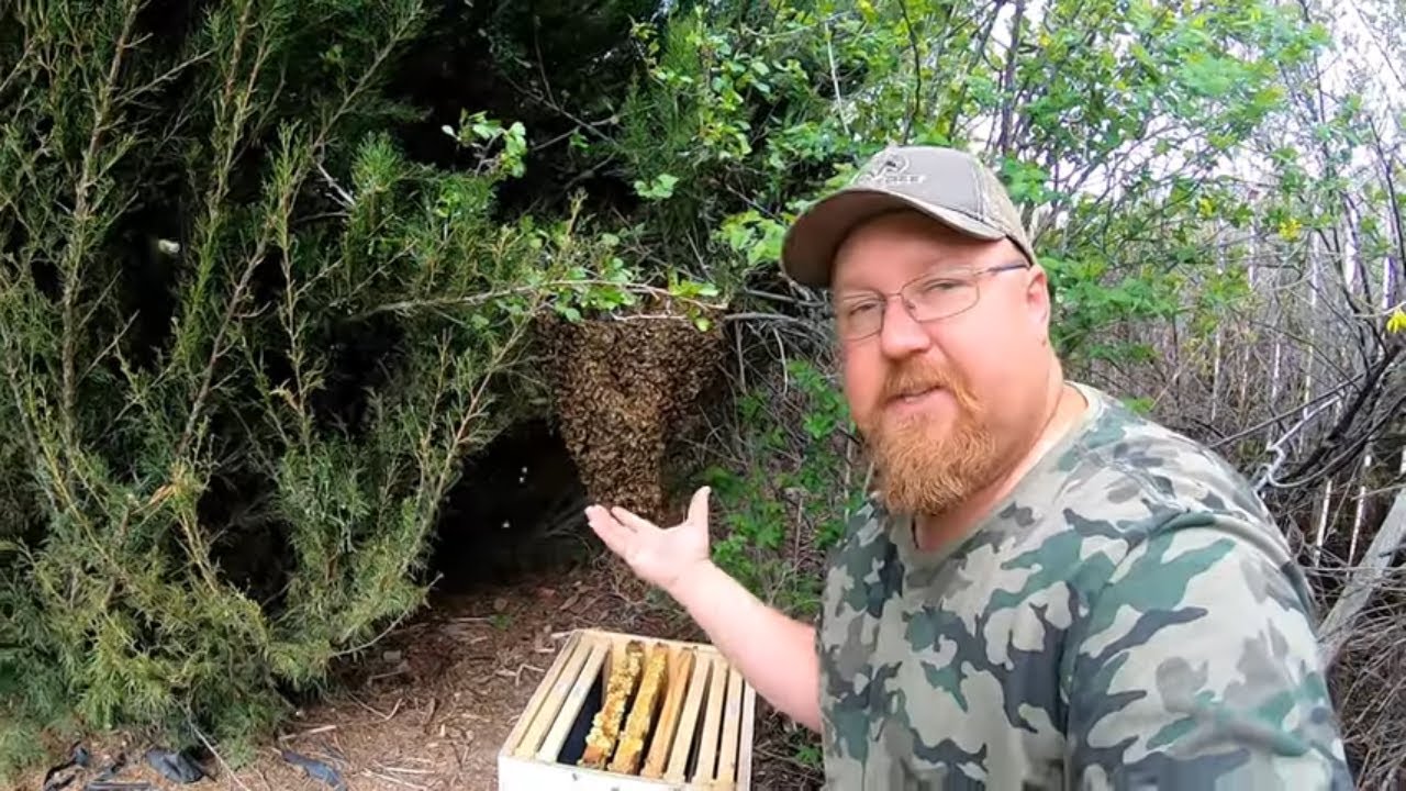 BEES TEACH OVER CONFIDENT BEEKEEPER A LESSON - YouTube
