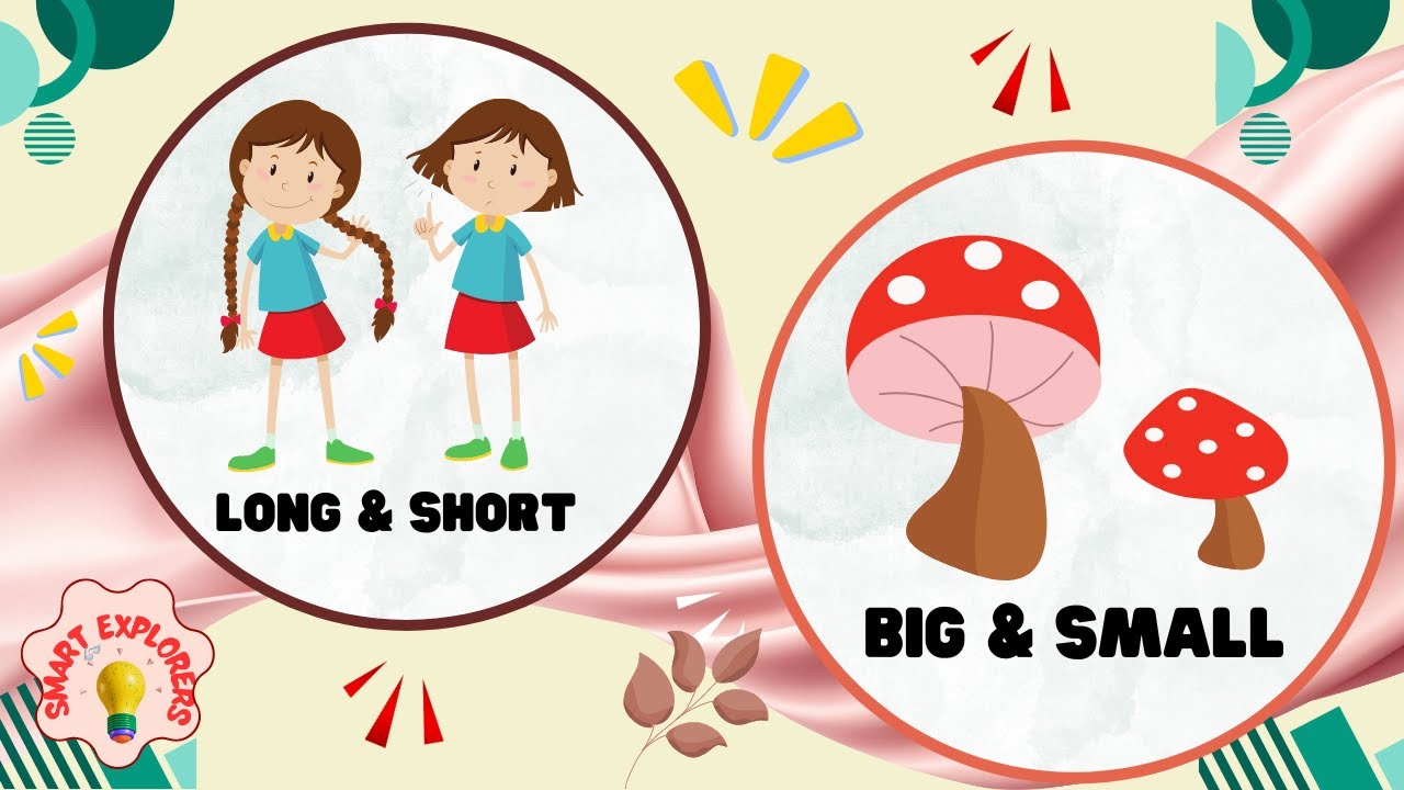 Big and Small| Long and Short | Comparison for Kids - YouTube