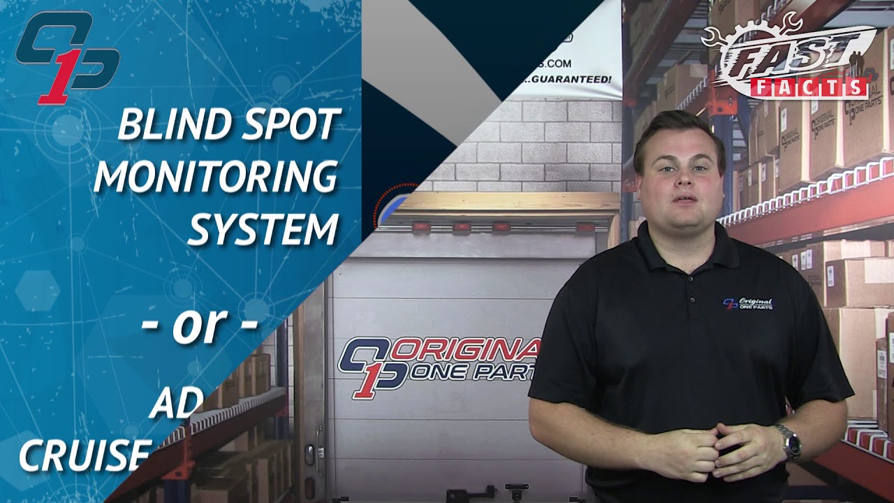 Friday Fast Facts: Episode 8 - YouTube