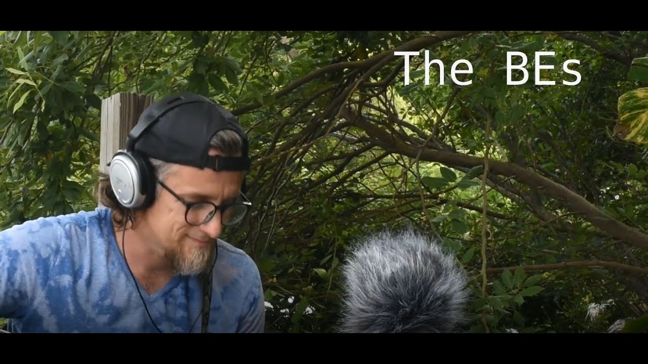 SEL Song of the Week - The BEs - YouTube