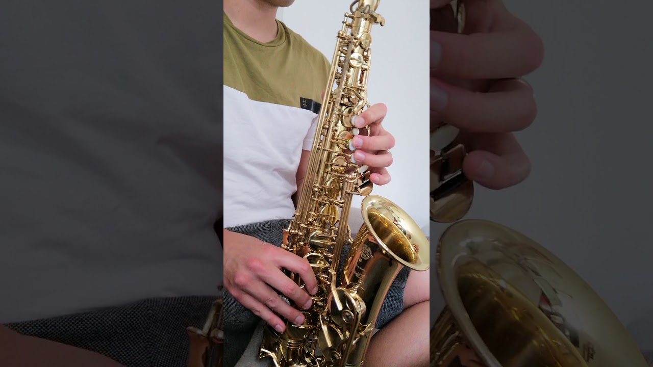 Petite fleur saxo alto version Sidney bechet cover - YouTube