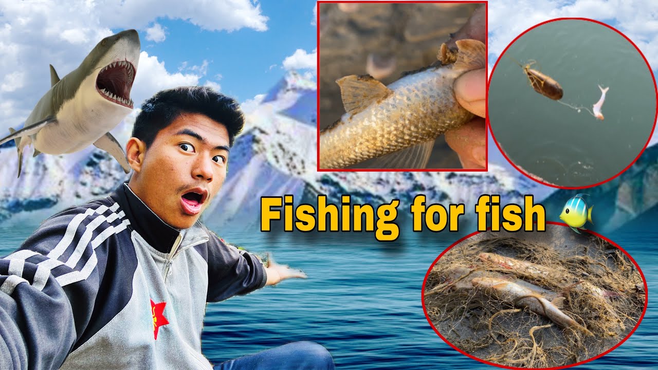 AAJA KO MACHCHA SHIKAR | AMAZING FISHING VLOG😅 - YouTube