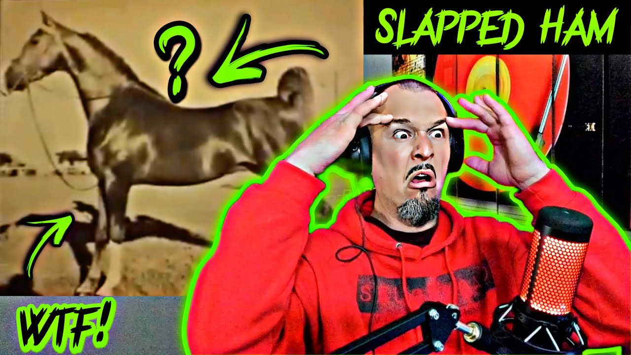 IM GONNA BE SICK | Weird And Scary Clips CREEPING Viewers Out - Slapped ...