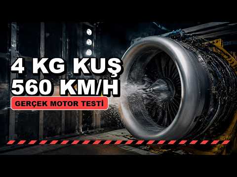 Jet Motoruna 560 km/h Kuş Fırlatıyorlar: Hangisi Bozar?