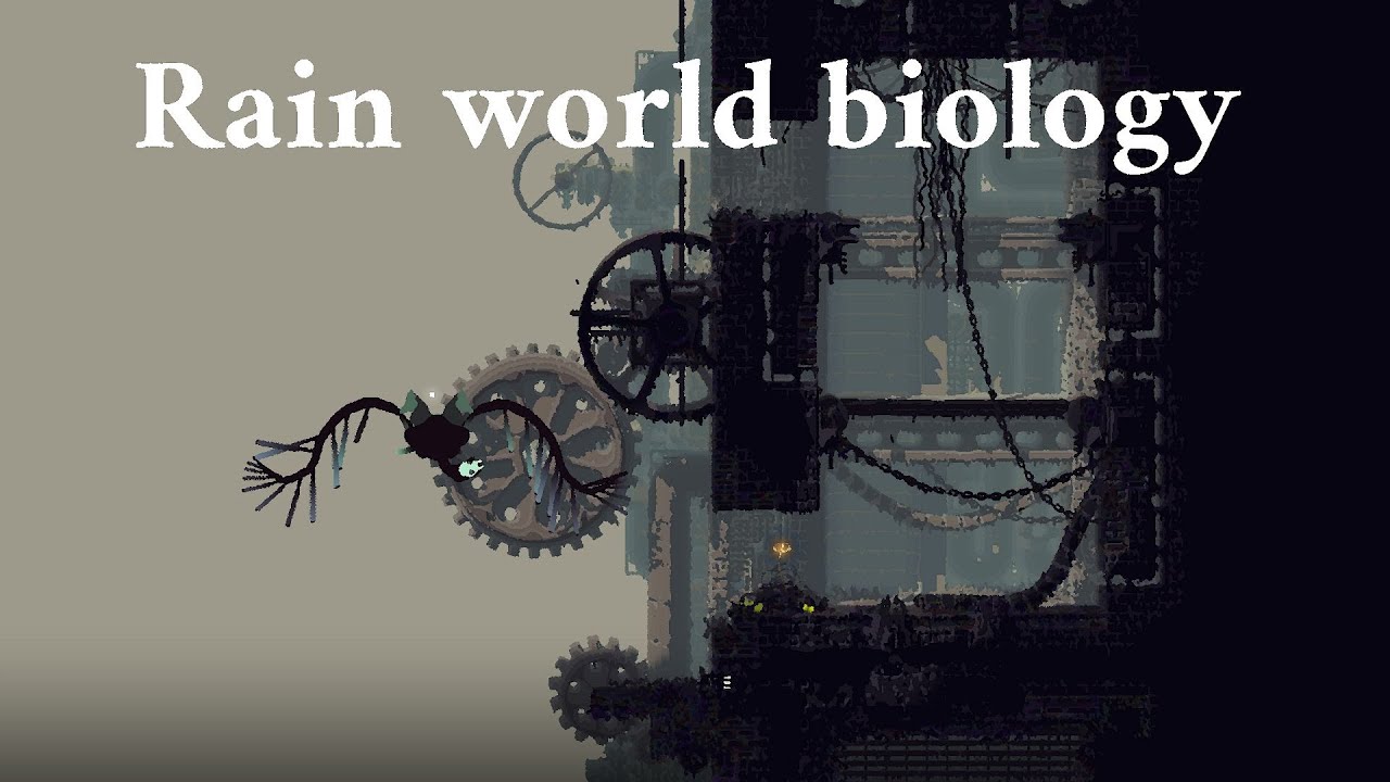 Rain world biology - YouTube