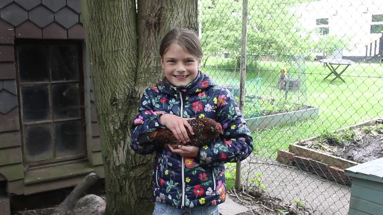 Handling Animals | The ARC Centre - YouTube