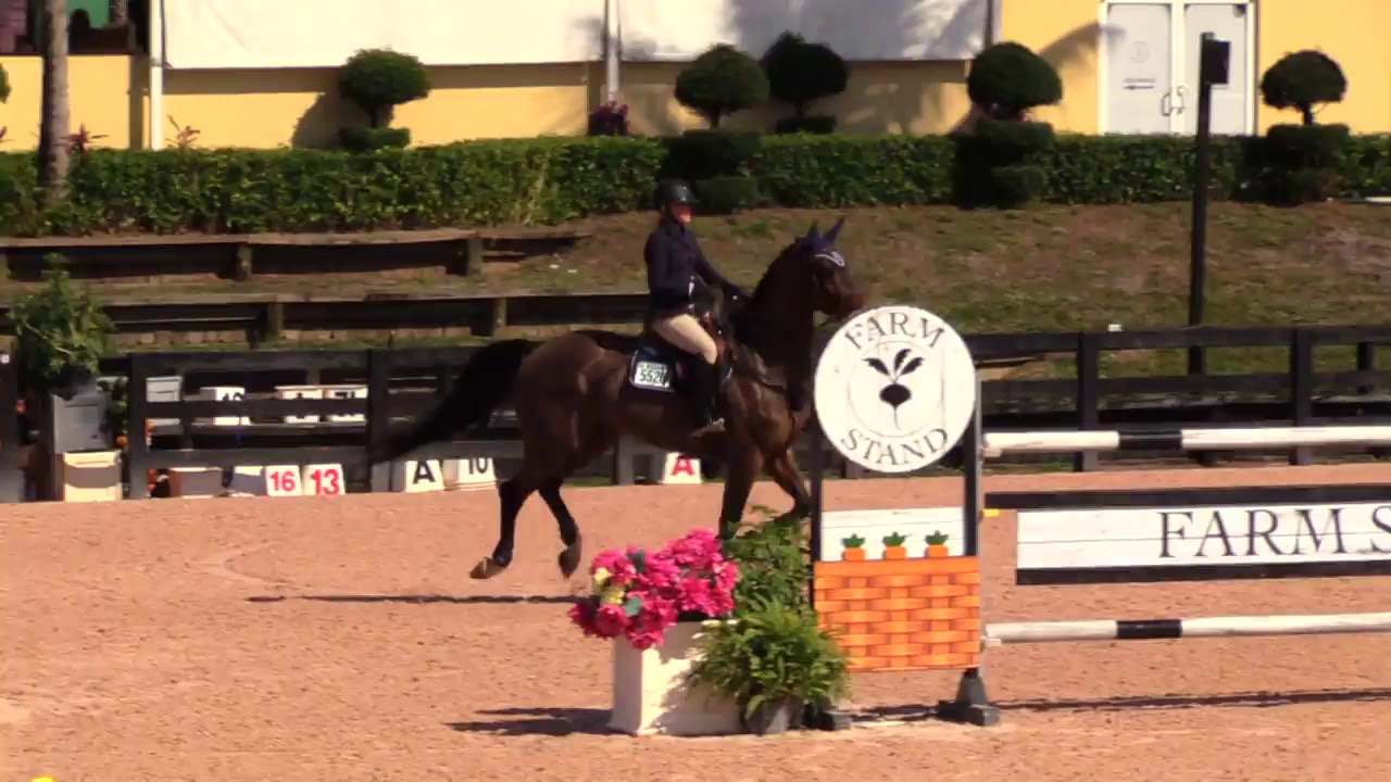 DK-USA Sporthorse: Conenzo & Gabrielle Strigel 1.40m High Jr - YouTube