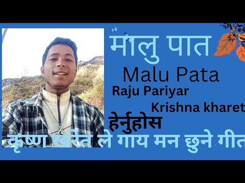 ||Malu pata|| ||मालु पात|| Nepali song Raju Pariyar Krishna kharet - YouTube