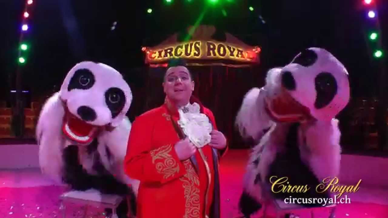 Circus Royal - Panda Panda - YouTube