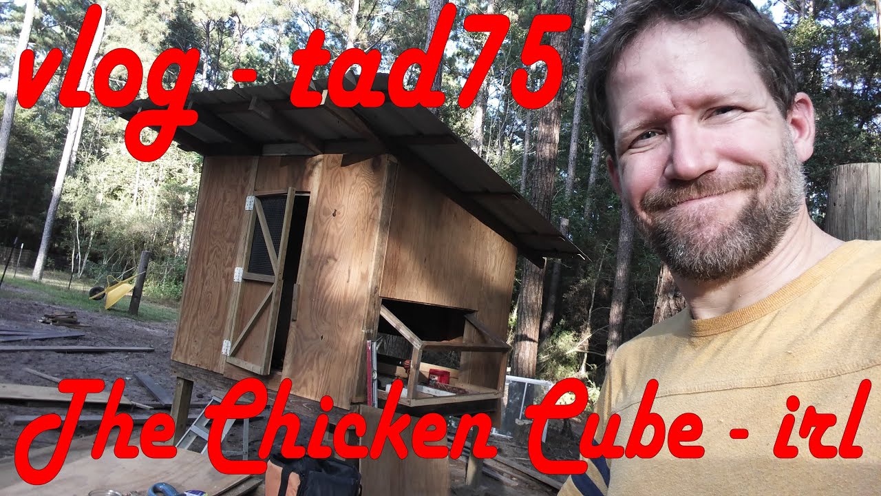 VLOG - The Chicken Cube IRL - YouTube