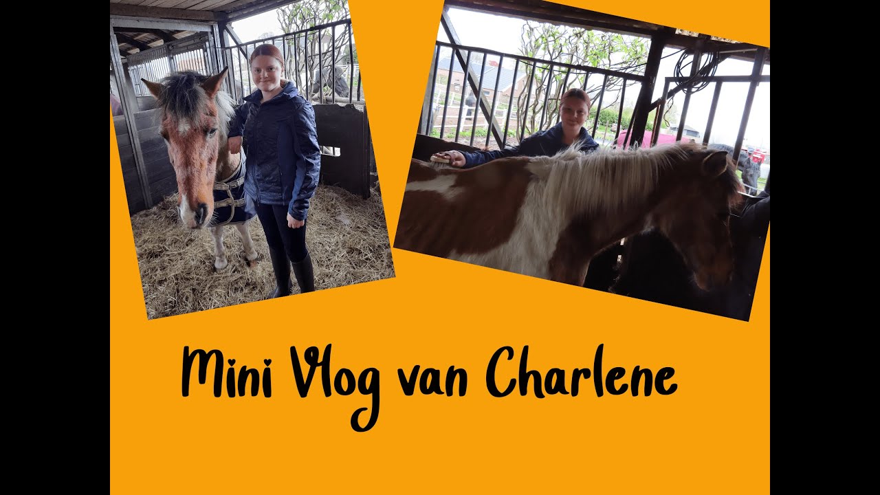 Mini vlog van Charlene bij de paardjes (#vlog60 ) - YouTube