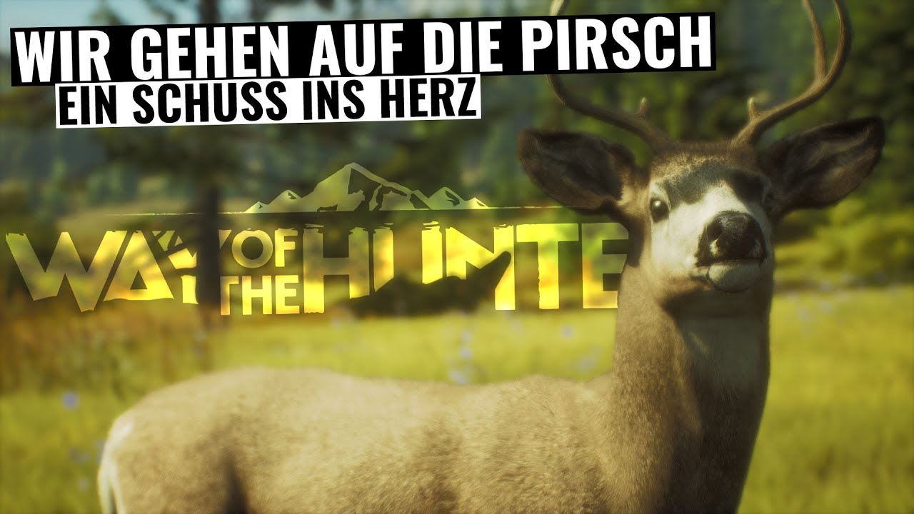 Wir gehen auf die Pirsch, ein Schuss ins Herz! || Way of the Hunter ...