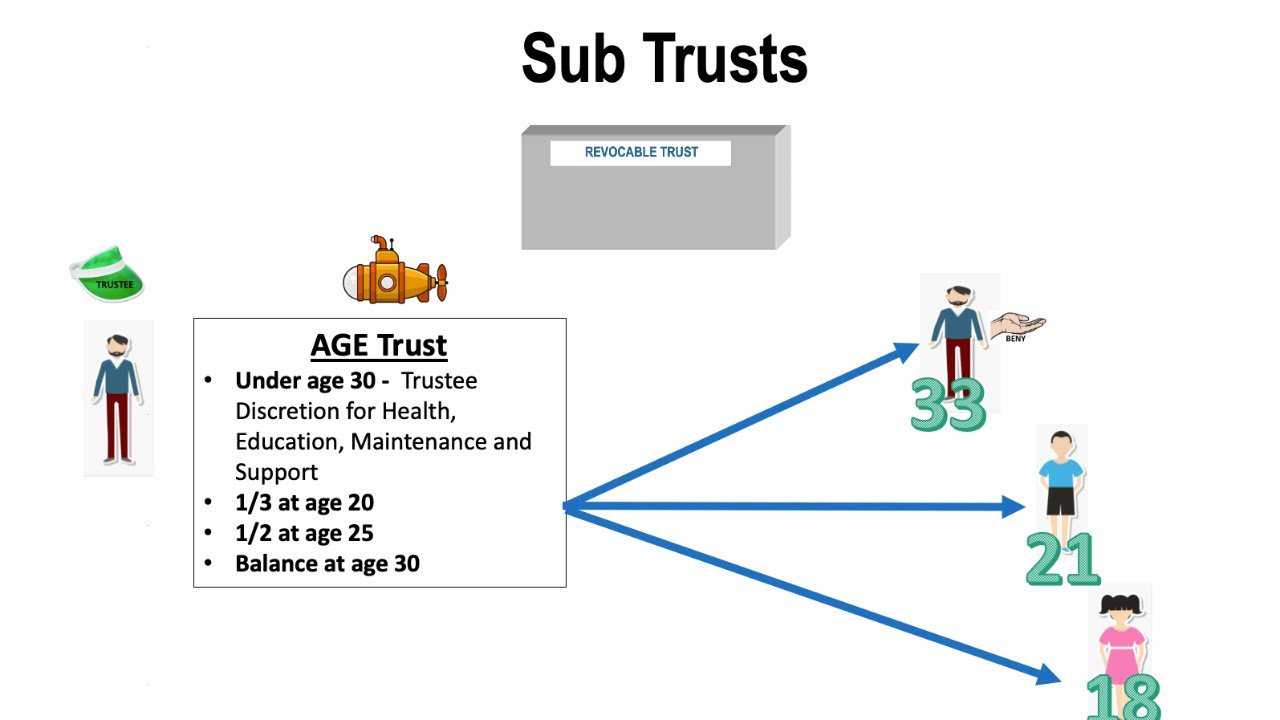 Sub Trust Options - Age, Dynasty, Special needs, Pet and Education ...