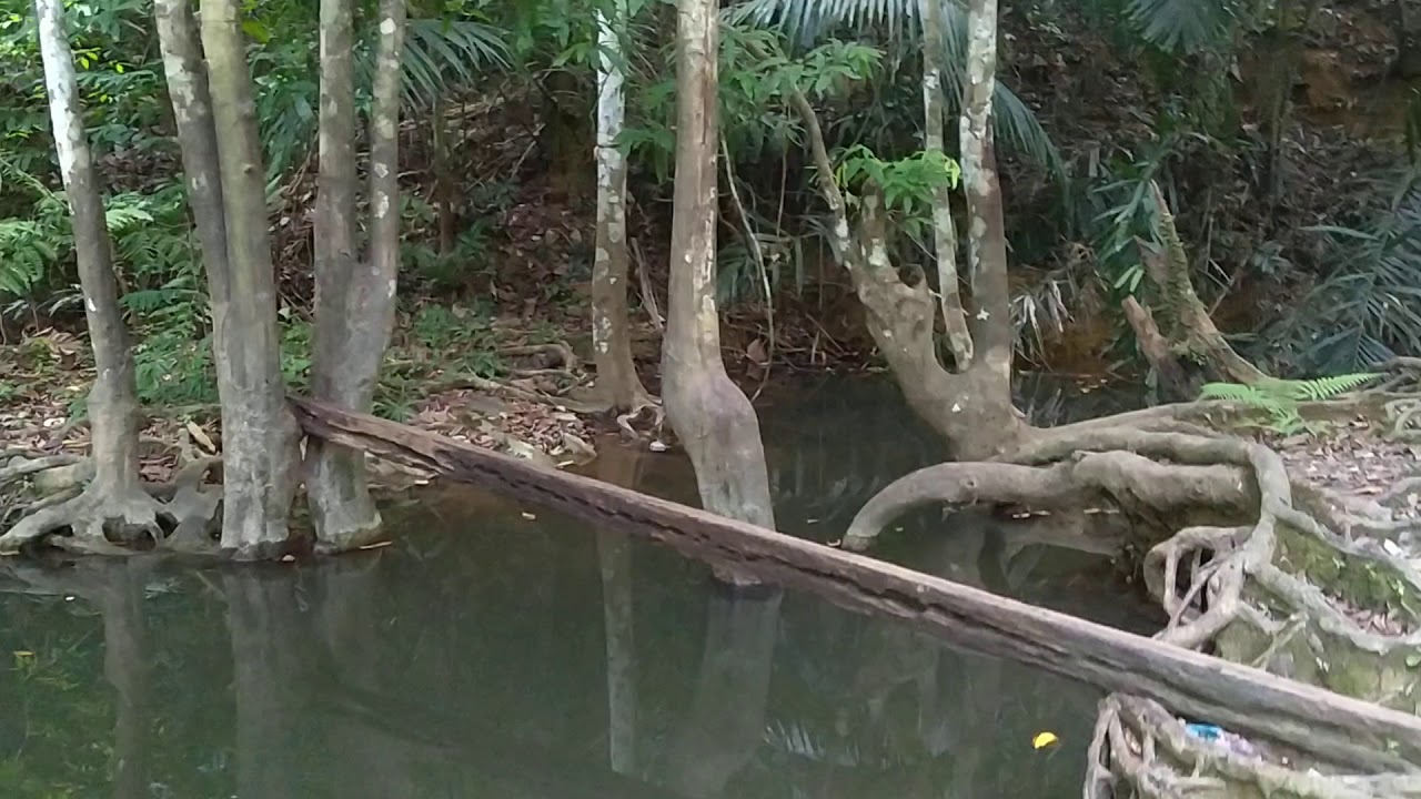 Bukit Ayer sudah kering!! - YouTube