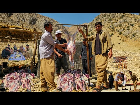 Life away from civilization:🐑 Slaughtering sheep and preparing fresh meat in the Zagros Mountains ⛰️