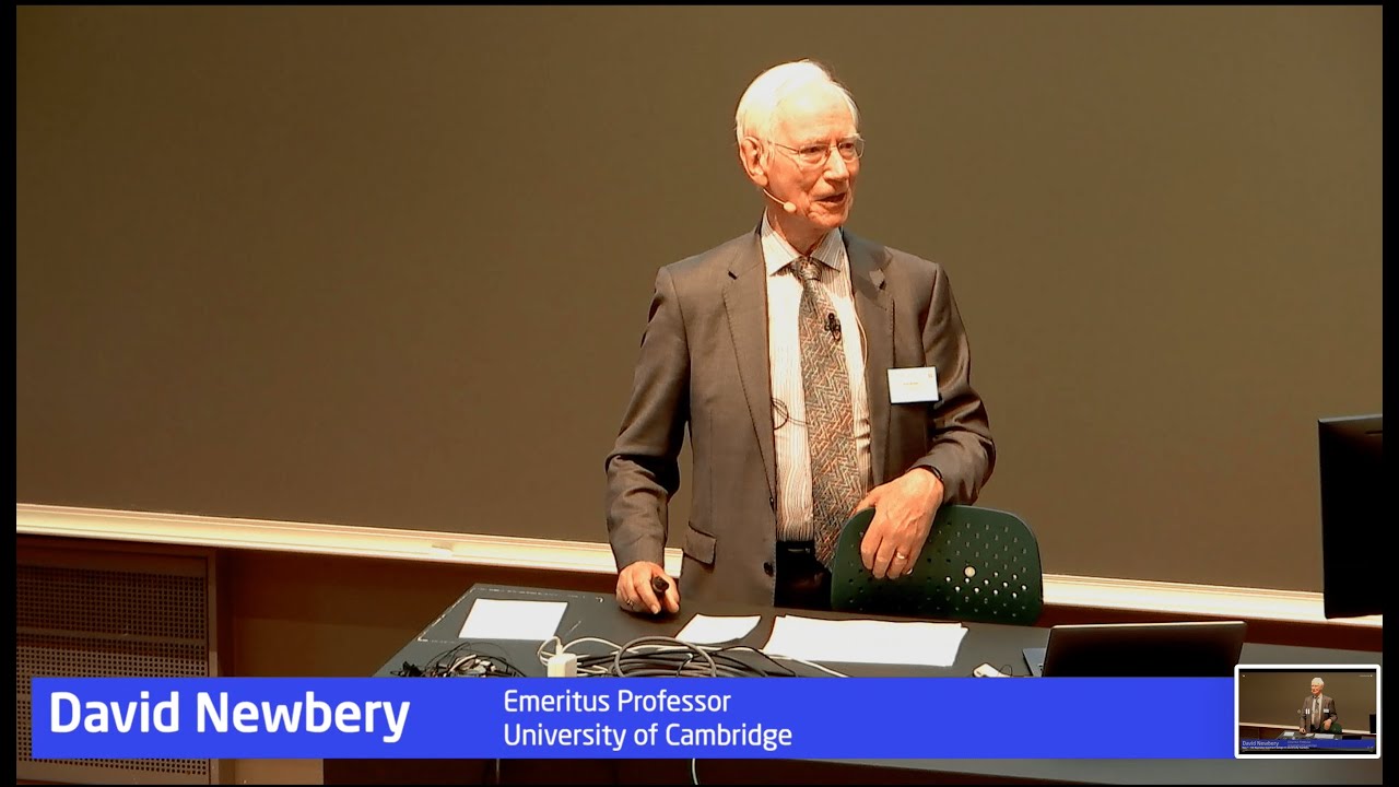 David Newbery: Contract design for electricity markets - YouTube