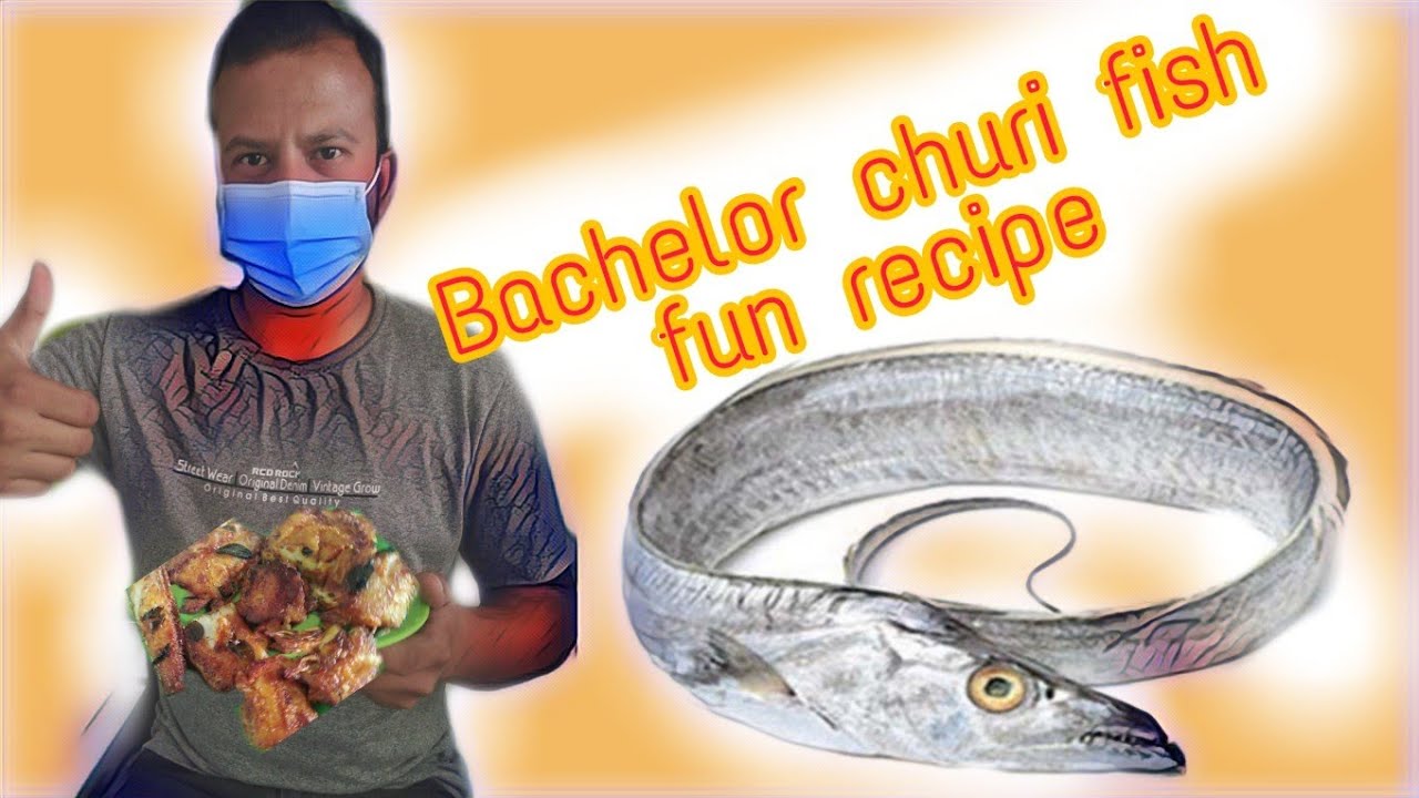 Bachelor churi fish fun recipe|| ব্যাচেলর মজাদার সুরি মাছ রেসিপি ...