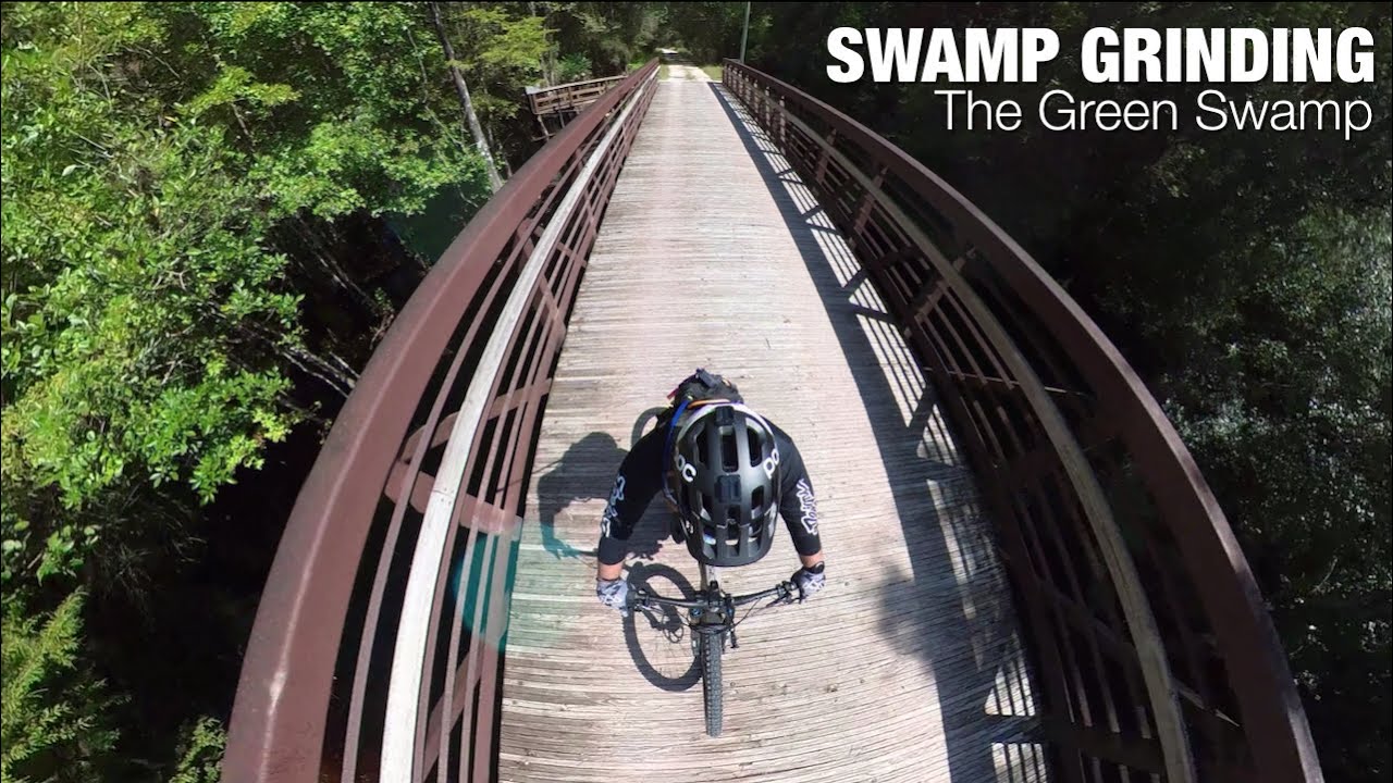 Swamp Grinding: gravel cycling through Florida's Green Swamp - YouTube