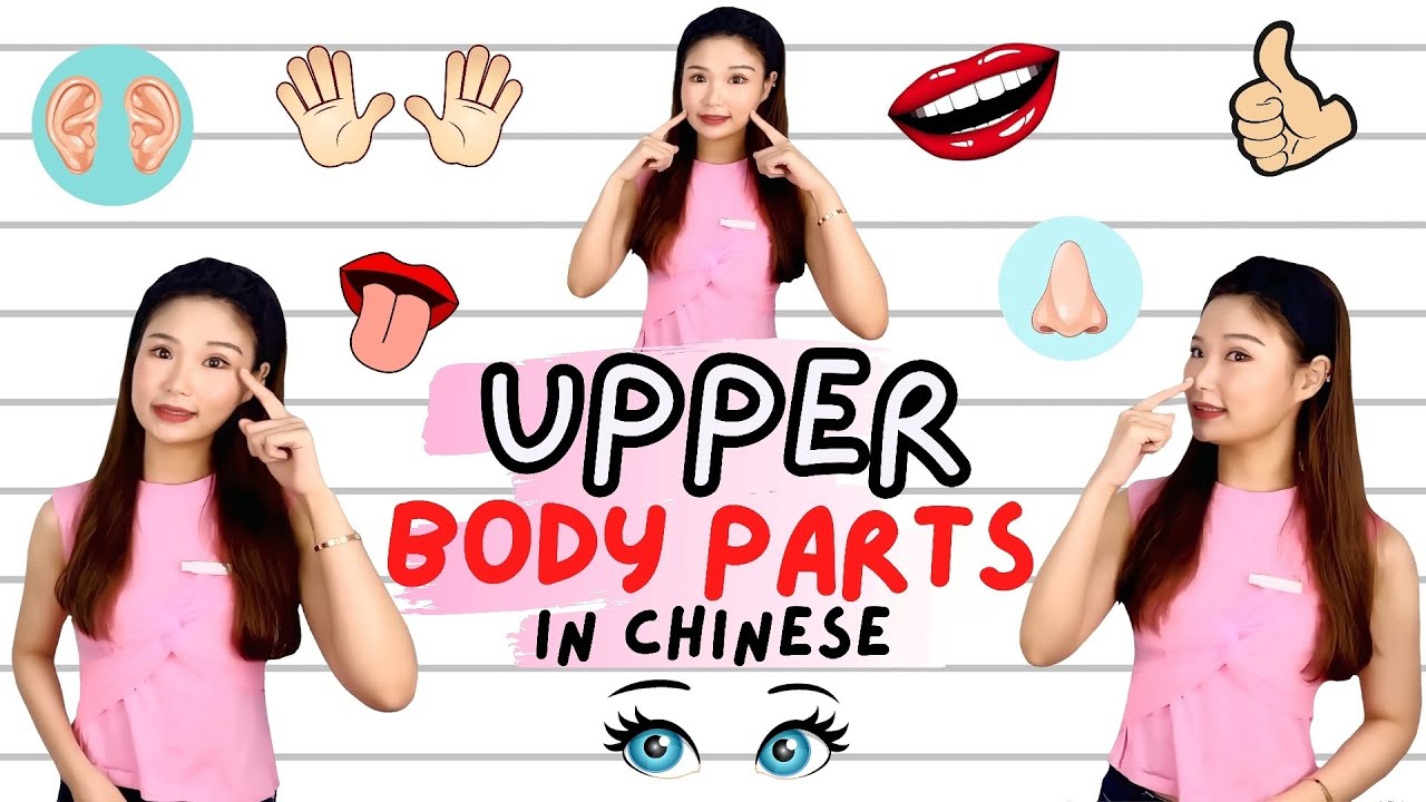 Learn How to Name Your Upper Body Parts / Basic Chinese - YouTube