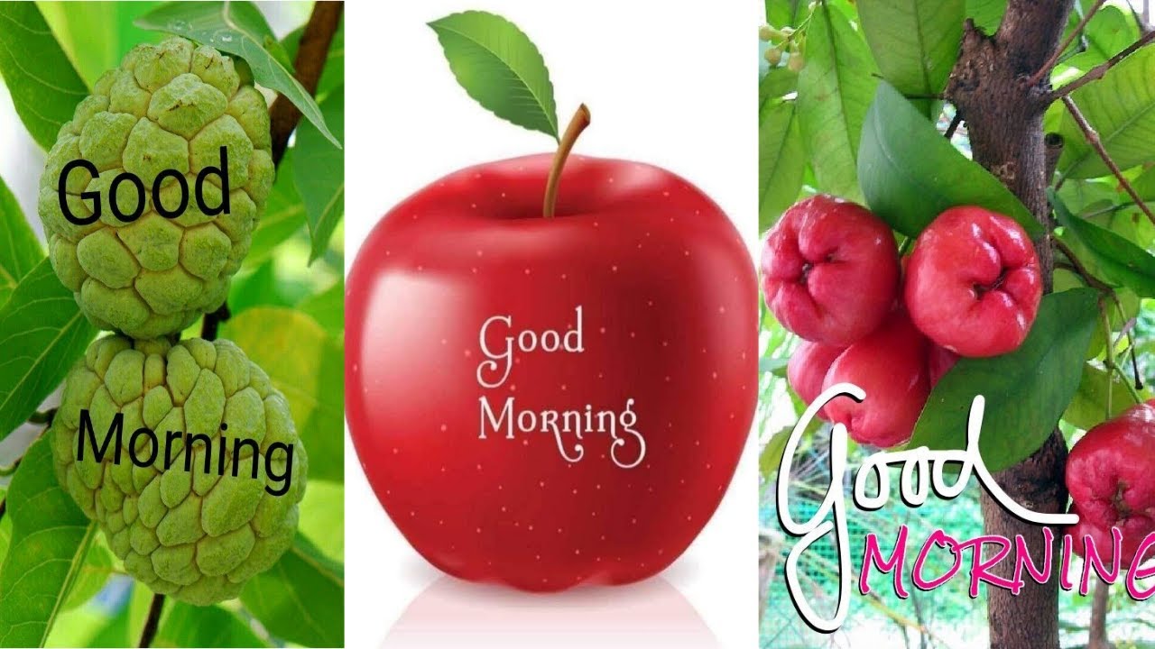 Good Morning Fruits | Good Morning Song - YouTube
